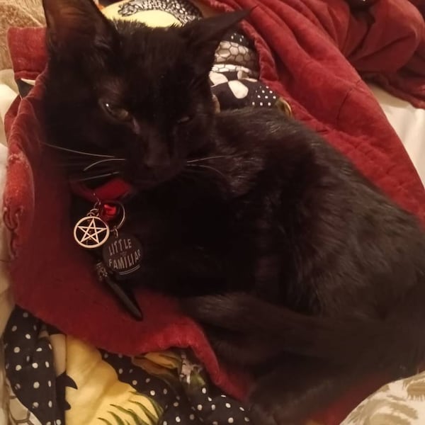 Witches Familiar Pentacle Cat Collar: Adjustable Pentacle Charm ...