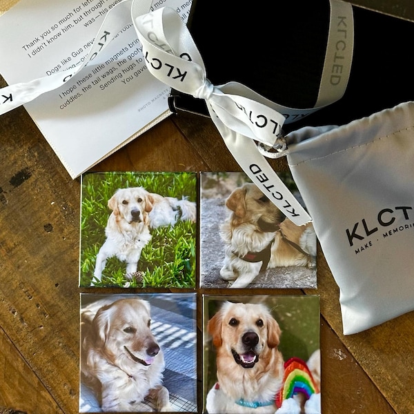 2x2 Fridge Magnet A4 Template - Photo Magnet Machine | 50mmx50mm Square Magnet Template ...