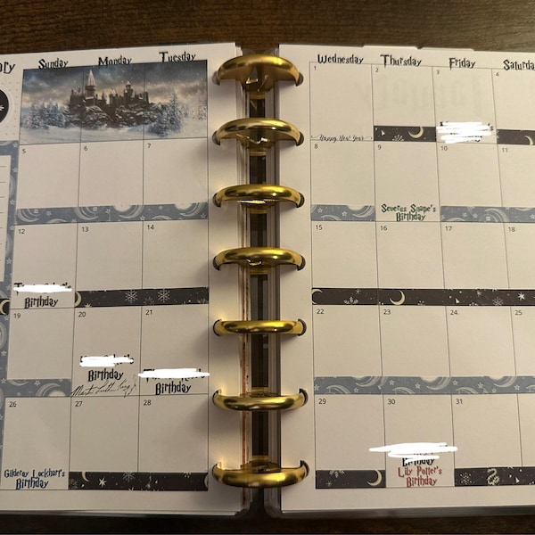 EDITABLE Happy Planner Classic Personal Information Printable Insert ...