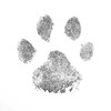 Inkless Pet Paw Print Kit | Get High-quality Paw Prints With Zero Ink ...