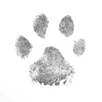 Inkless Pet Paw Print Kit | Get High-quality Paw Prints With Zero Ink ...