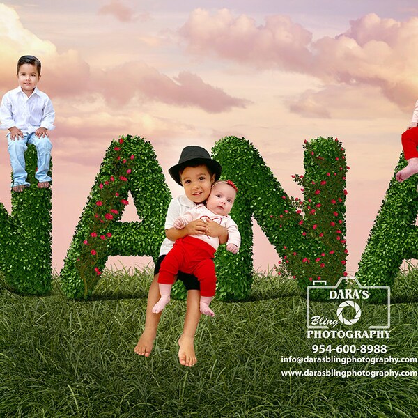 13 Box Photography Template, Collage for in the Box Photography, Inside ...