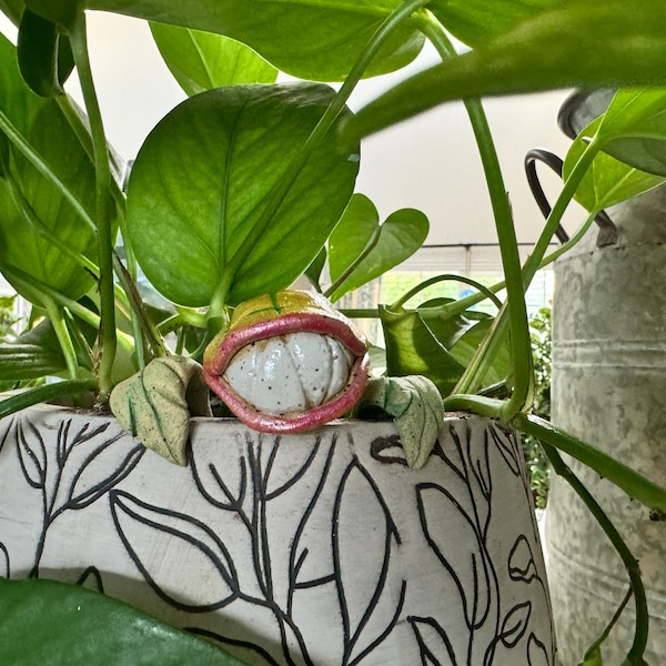 Audrey Plant Buddy, Little Shop of Horrors, Garden Art, Home Decor ...