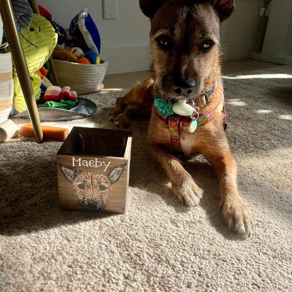 Tzedakah Box, Personalized Jewish Baby Gift, Naming, Bris, Birthday ...