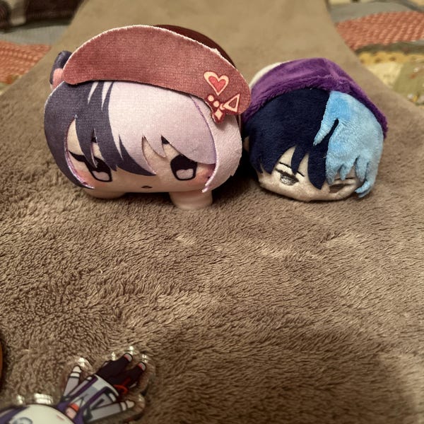 Project Sekai Bean Plushies - Etsy