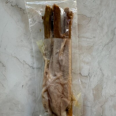 3 Live Cuttings Rhus Glabra smooth Sumac/ White Sumac/upland Sumac ...