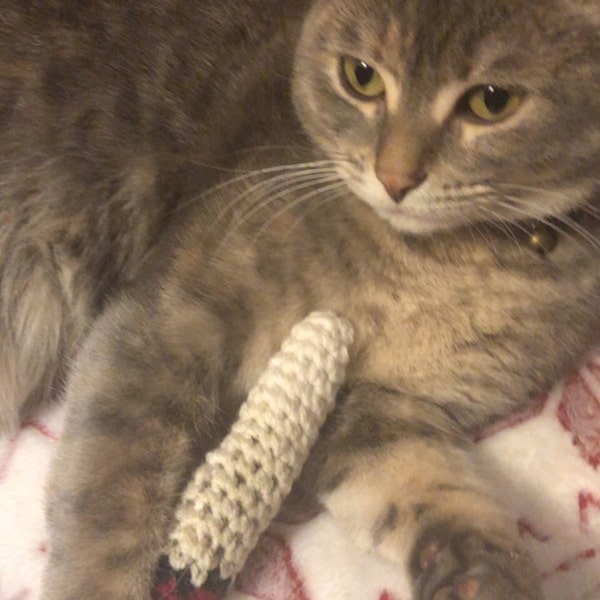 Handmade Crochet Catnip Doobie, Novelty Cat Toy - Etsy