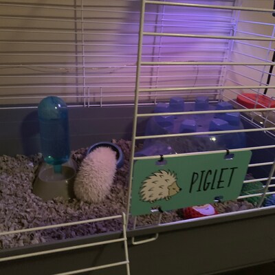 Personalized Hedgehog Name Plate / Hedgehog Sign / Cage Accessory ...