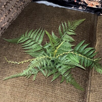 Plastic Moss Pads: Artificial Aquarium Plants Reptile Terrarium Plants ...