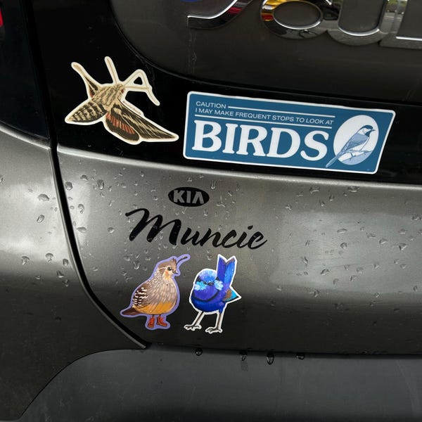 Flying Heron Sticker, Neutral Bird Stationary, Vinyl Decal, Retro ...