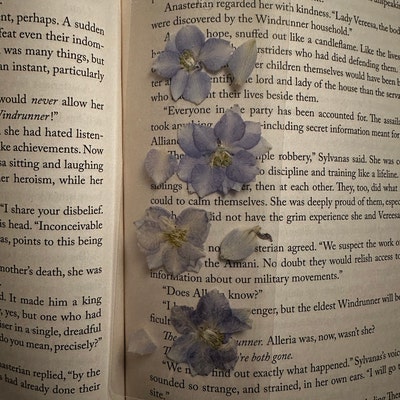 REAL Dried Pressed Flower Bookmark With Daisies Wildflowers Roses Ferns ...