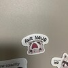 Raccoon Aur Naur | Funny Cute Acrylic Magnet | Gifts Under 10 | Novelty ...