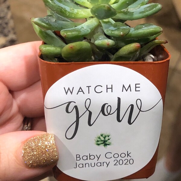 Watch Me Grow Favor Stickers,succulent Favor Stickers,watch Me Grow ...