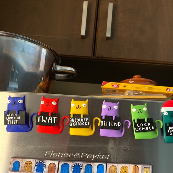 What A Crock of Shit Fridge Magnet Sweary Rainbow Cats Fridge Magnet ...