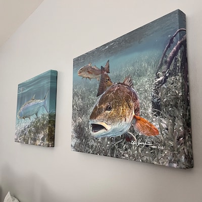 24x36 Florida West Coast Common Inshore & Nearshore Fishes Poster ...