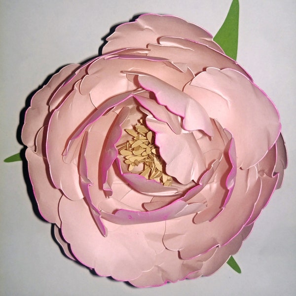 Plastic Mold for Paper Flower Making & Paper Quilling - Etsy