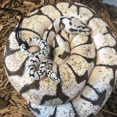 Customizable Ball Python Miniature / Figure / Sculpture / Necklace ...