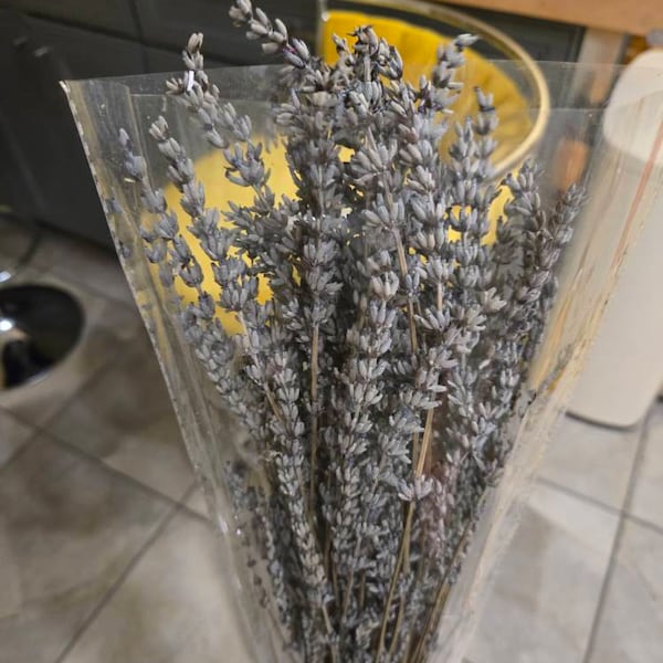 Red Preserved German Statice, Limonium Dried Flower, Crystal Flowers ...