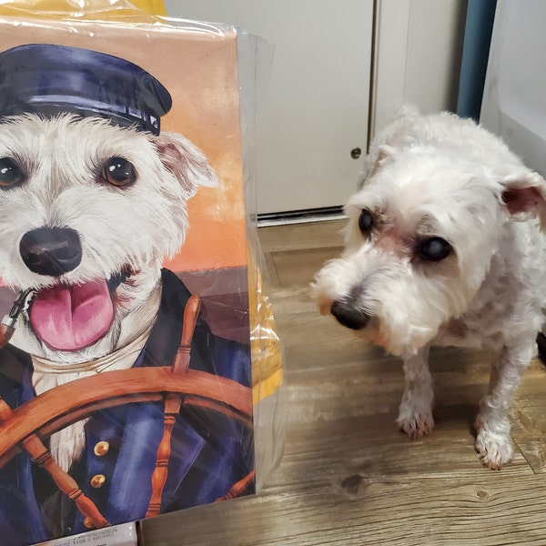 Sea Captain, Pet Portrait, Custom Pet Portrait, Royal Pet Portrait, Pet ...