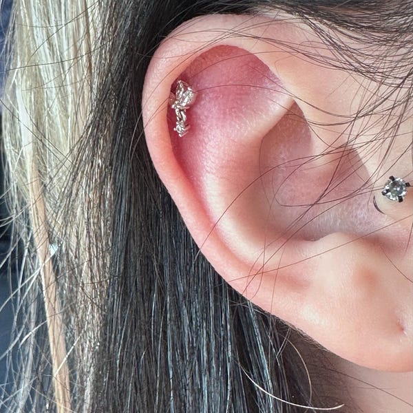 16G Sun & Star Septum Ring/daith Jewelry/cartilage Earring/helix Hoop ...