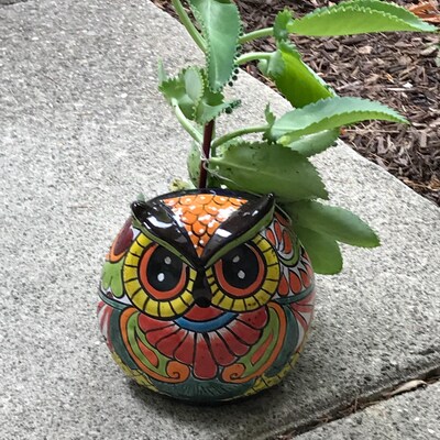 Pre-order Toucan Planter a 12 Round Ceramic Flower Pot Handmade ...