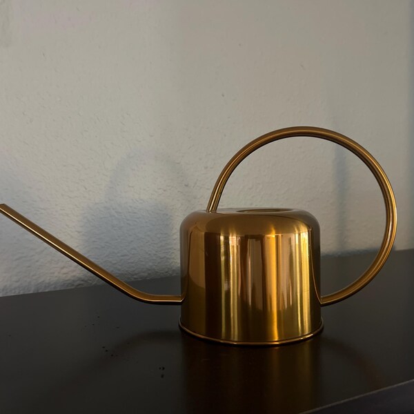 0.9 L Watering Can - Modern Style Watering Pot for Indoor Plants or ...