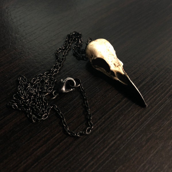 Oddities Gift Raven Skull Necklace Super-mini (1.5" Tiny) Bone Jewelry ...