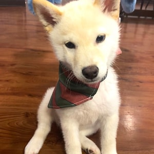 8-bit Ash Ketchum and Pikachu Pokemon Hair Bow Geek Girl Gift - Etsy