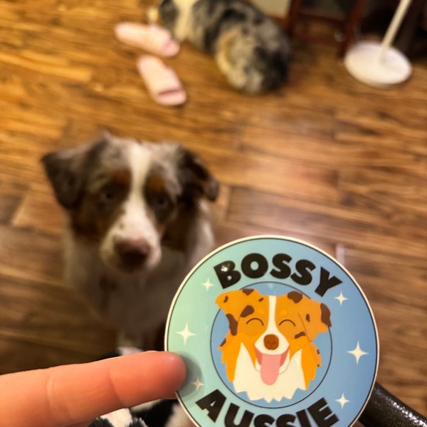 Australian Shepherd Bossy Aussie Glossy Vinyl Stickers - Red Merle ...