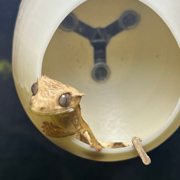 Stroodies EGG Hide for Frogs and Lizards and Such | Suction Cup or ...