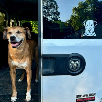 Pet Welcome Sign/ Pet Door Sign/ Dog Door Sign/pet Portrait Wreath/ Dog ...