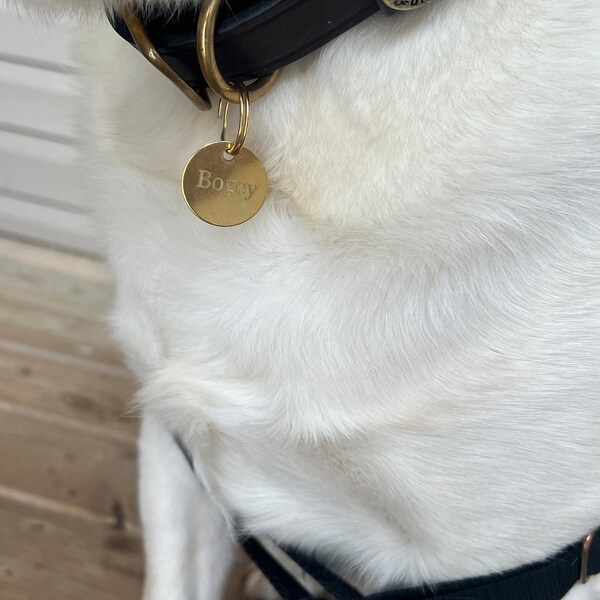 Most Durable Dog ID Tag. Active Dog ID Tag. Large and Heavy Duty Pet ID ...