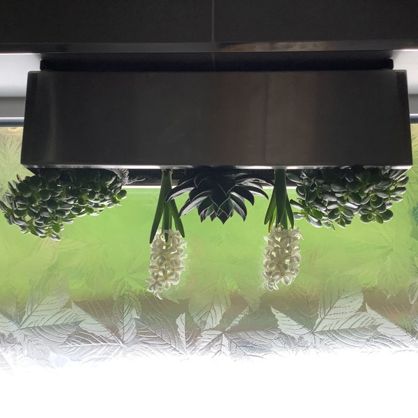 Weathered Steel Raised Round Open Bottom Planter Beds - Etsy UK