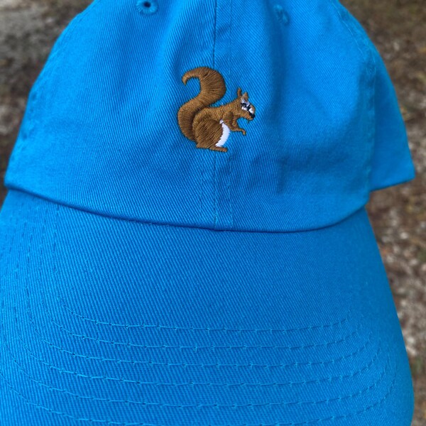 Pi Kappa Alpha Fraternity Baseball Cap Custom Color Hat and Embroidery ...