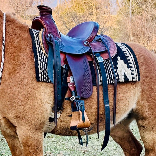 Single Pommel Saddle Bag for a Western Saddle - Horn Bag - Fork Bag - Etsy