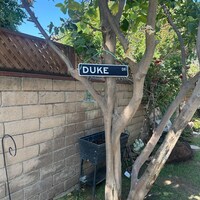 Neurosurgeon, Neurosurgeon Gift, Neurosurgeon Sign, Nervous System ...