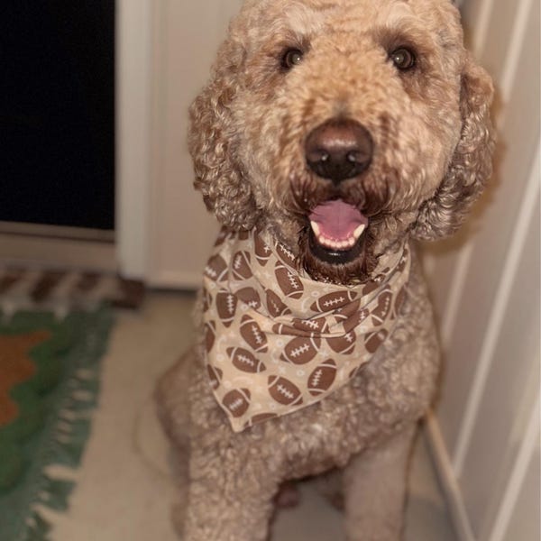 Blitz Football Dog Bandana - Etsy