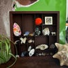 Wooden Curiosity Cabinet Printer Tray Letterbox Display, Rock Display ...