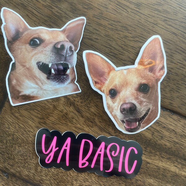 Garba Sticker Pack | Navratri Stickers | Waterproof | Water Bottle ...