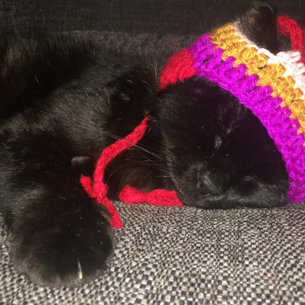 Easy Crochet Adult Cat Hat Beanie Pattern 336 DIGITAL DOWNLOAD ONLY - Etsy