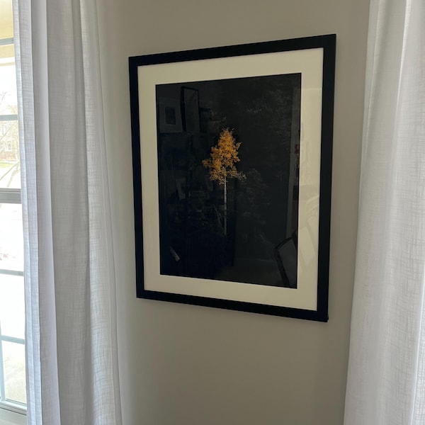 Aspen Tree Art, Fall Photography Framed Photo, Autumn Photograph ...