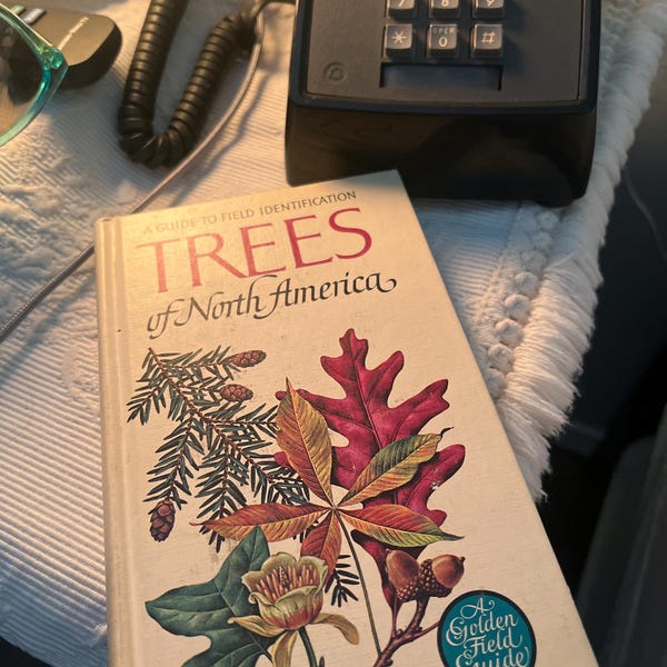 The Rainbow Goblins // 1978 Hardback // Ulde Rico // Children's Picture ...