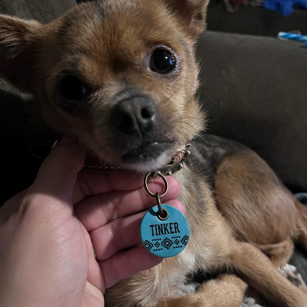 Dog Neck Band With Name. Custom Pet ID. Engraved Dog Collar. Custom Cat ...