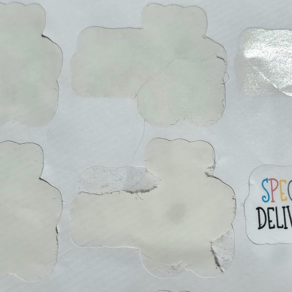 Thank You Repeat Customer Sticker, Packaging Sticker, Mailing Supplies ...