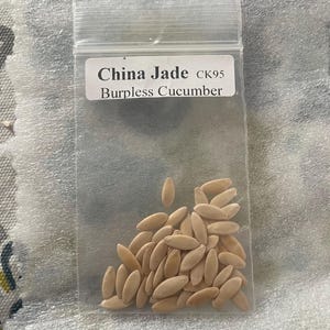 10 Rishi Ridge Gourd Seeds; Indian Angled Loofah; Luffa Acutangula; Non ...