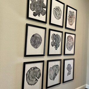 Alaskan Spruce Tree Ring Print Tree Stump Print Stump Art | Etsy