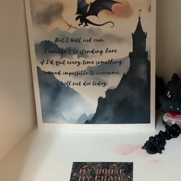 ACOTAR Merch Sarah J Maas Velaris Poster Feyre Rhysand Bookish Wall Art ...