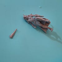 Tiefling Gladiator Tiefling Fighter Galaad | Miniature Dungeons and ...