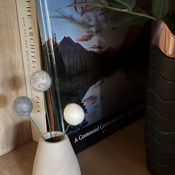 WHITETAIL DEER SKULL, Deer Skull Decor, Deer Skull Mount, Deer Skull ...