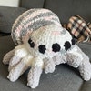 PATTERN ONLY Huggable Spider Pattern - Etsy Canada